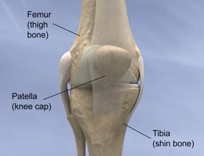 Knee slider | UW Orthopaedic Surgery and Sports Medicine